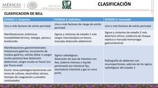 Enterocolitis Necrotizante | PDF