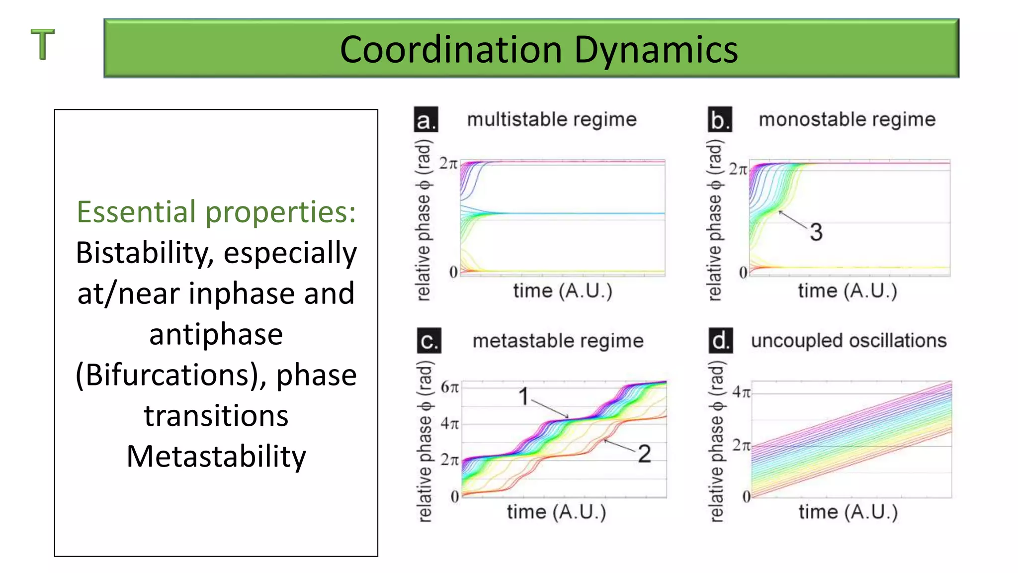 Sympathy of the Brain - Emmanuelle Tognoli, Shanghai, ECNU | PPT