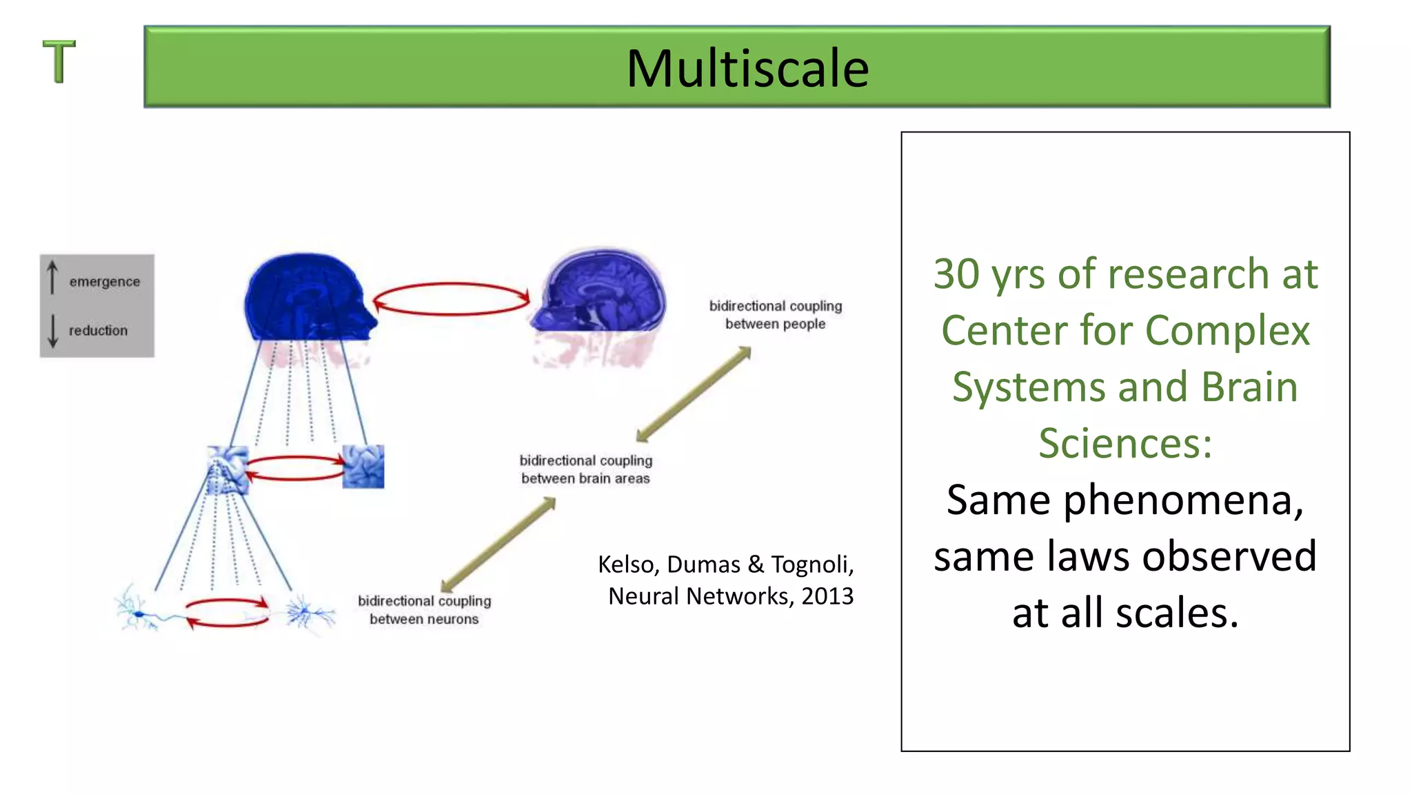 Sympathy of the Brain - Emmanuelle Tognoli, Shanghai, ECNU | PPT