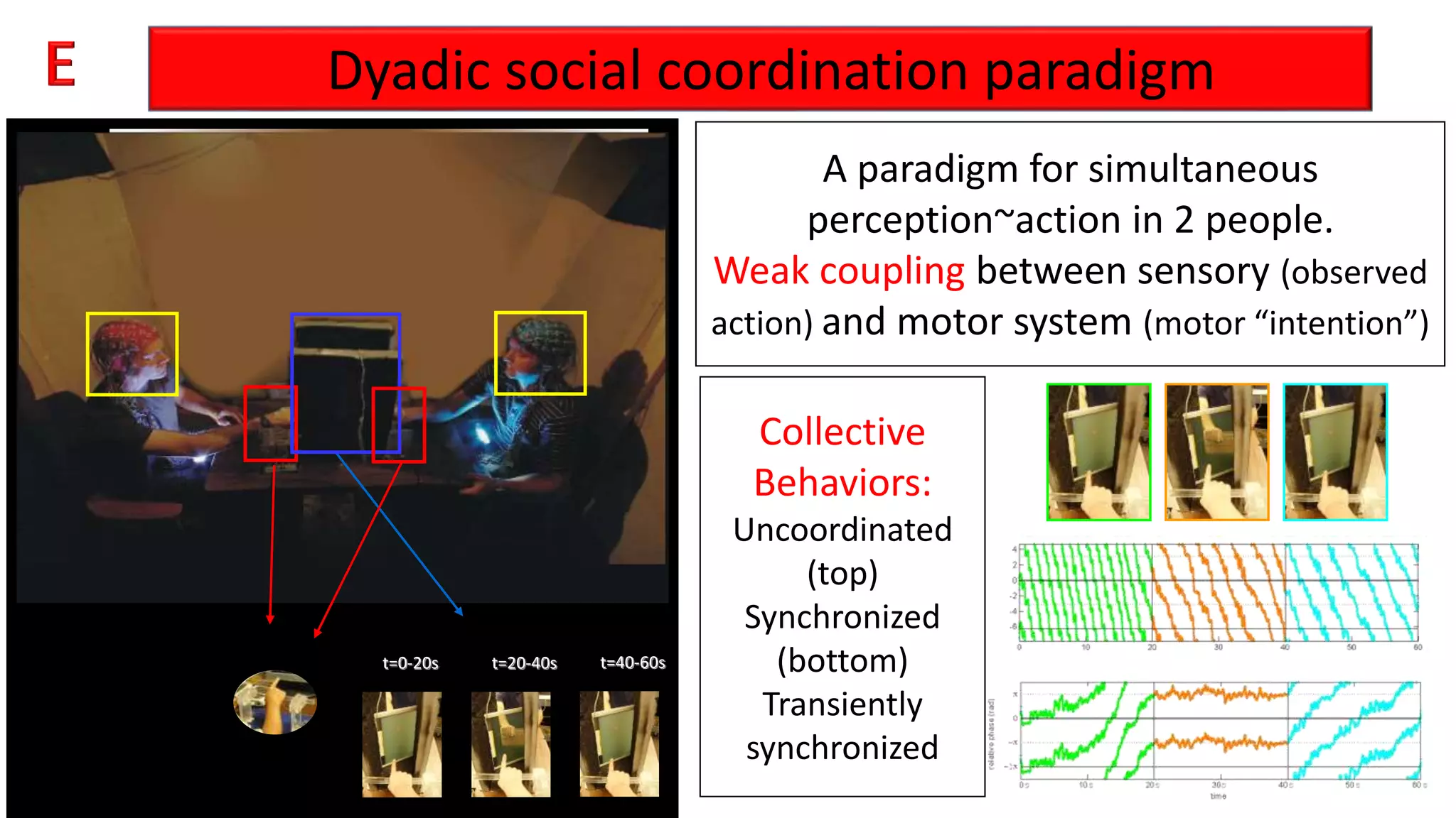 Sympathy of the Brain - Emmanuelle Tognoli, Shanghai, ECNU | PPT
