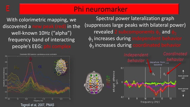 Sympathy of the Brain - Emmanuelle Tognoli, Shanghai, ECNU | PPT