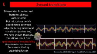 Sympathy of the Brain - Emmanuelle Tognoli, Shanghai, ECNU | PPT