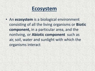 eco-1.pptx