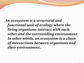 ECO-1.pptx English language and literature | PPT