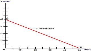 Isocost Line | PPTX