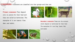 Eco.pdf | Biological Sciences | Science