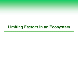 Ekosistem Limiting factors | PPT | Environment | Science