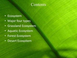 eco.pptx