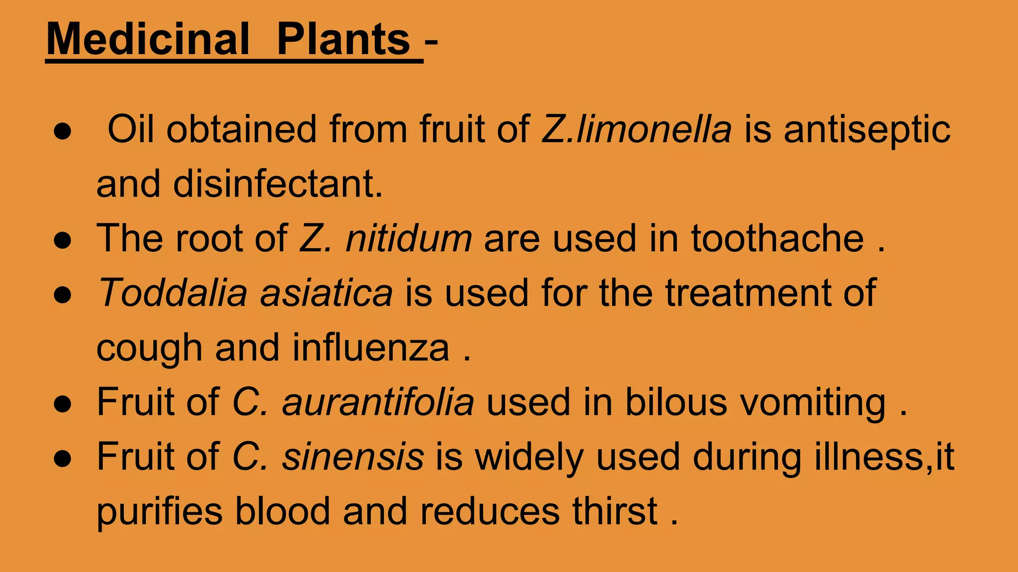 eco.imp. of Rutaceae (2).pptx