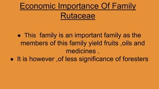 eco.imp. of Rutaceae (2).pptx