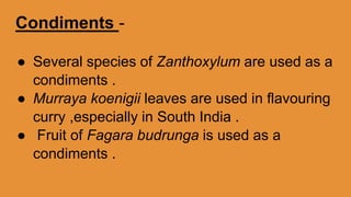 eco.imp. of Rutaceae (2).pptx