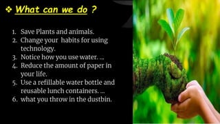 Eco criticism theory | PPTX