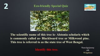 Eco-Friendly - Question | PPT