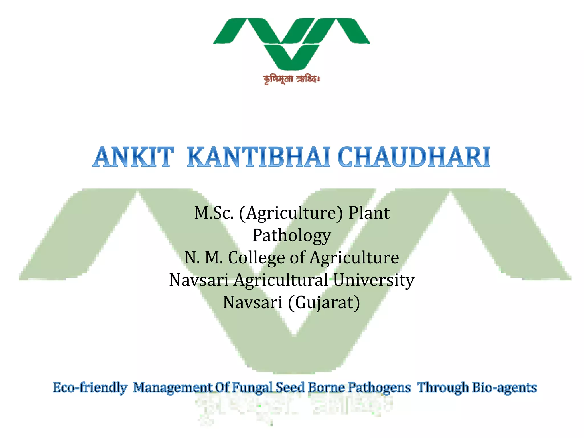 Eco friendly management of fungal seed borne pathogens through bio ...