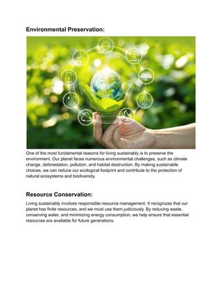 The Future is Green: Must-Have Eco-Friendly Products for a Sustainable ...