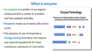 Enzyme Technology | PPTX