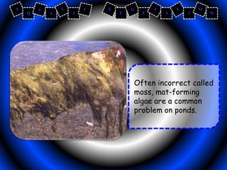 Aquatic Plant Management Method | PPT