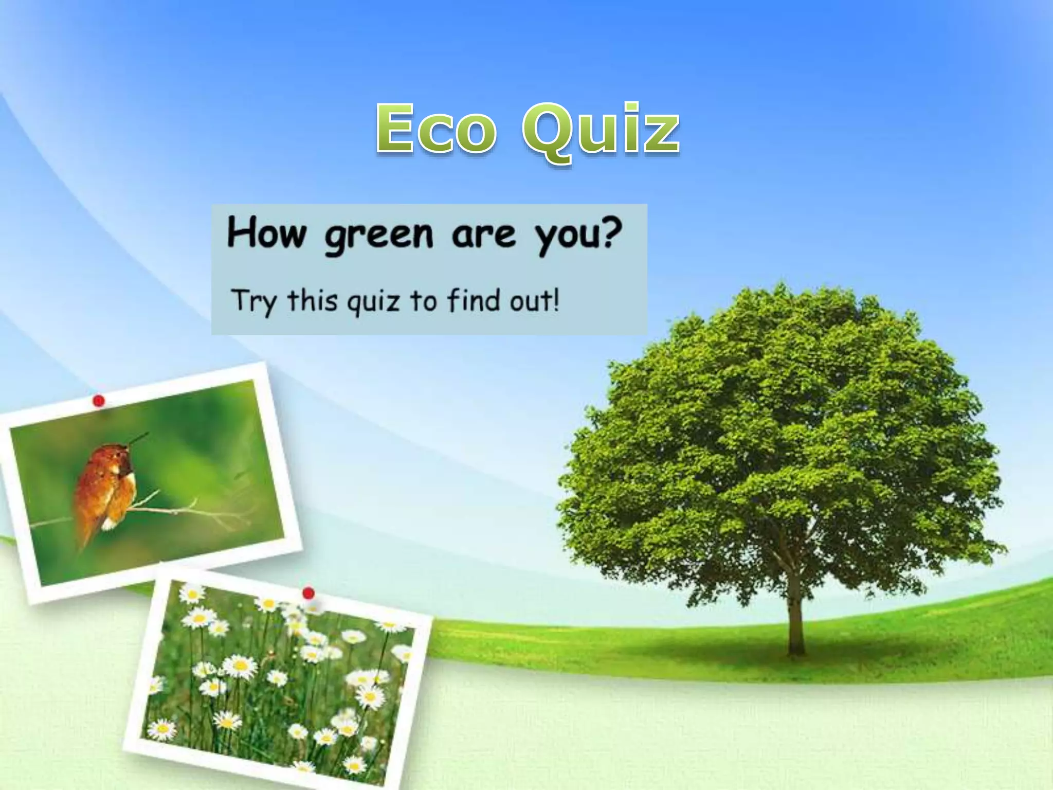 Eco quiz present tense review | PPT
