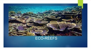 FizzyTransition - Building a nursery for coral | PPTX