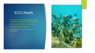 FizzyTransition - Building a nursery for coral | PPTX