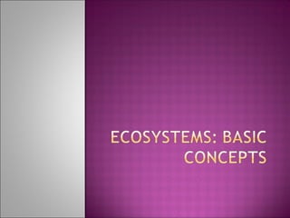 Eco system | PPT