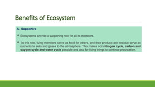 A Very Good Presentation on Eco-System.pptx