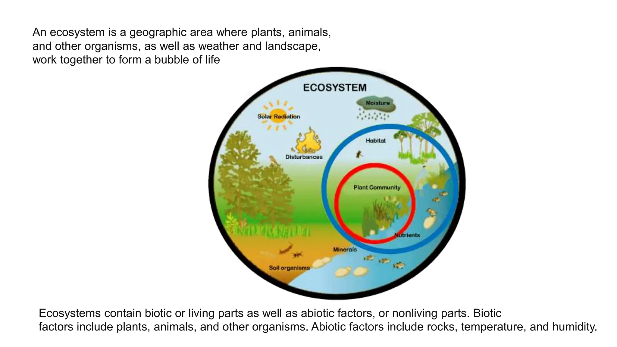 natural Eco-systems environment studies.pptx