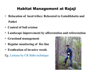 Eco-tourism management in Rajaji National Park, Uttarakhand (India) | PPTX