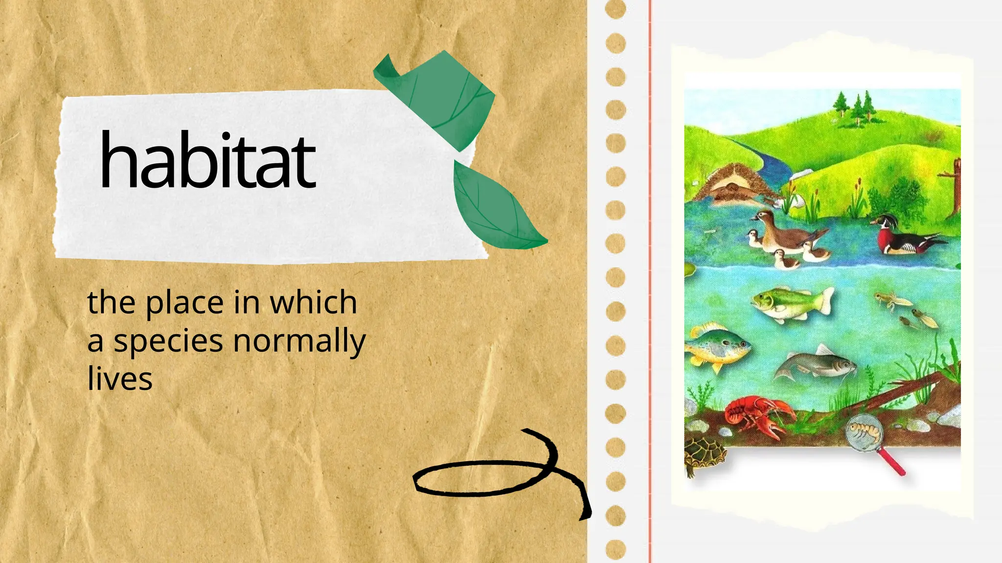 ECology-vocabulary we can save the world.pptx