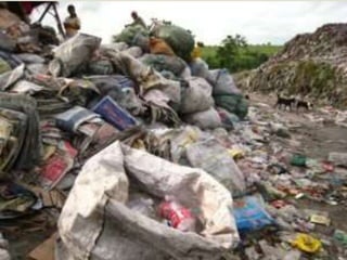 Eco Waste Management | PPTX