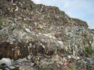 Eco Waste Management | PPTX