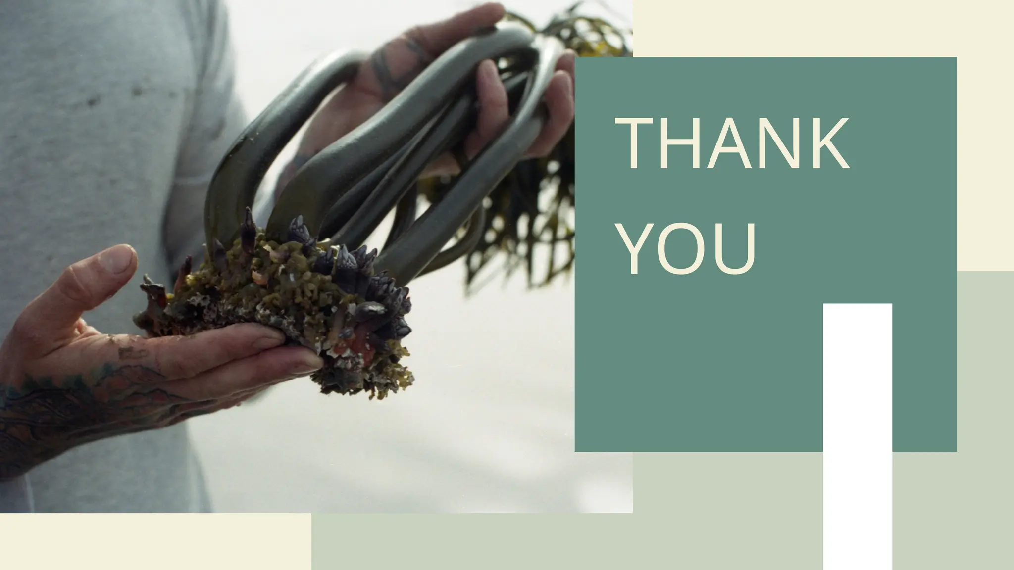 Lomba Sayembara Ide Bisnis ECO-WISH.pptx