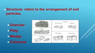 Eco 4 soil physical and chemical properties | PPTX