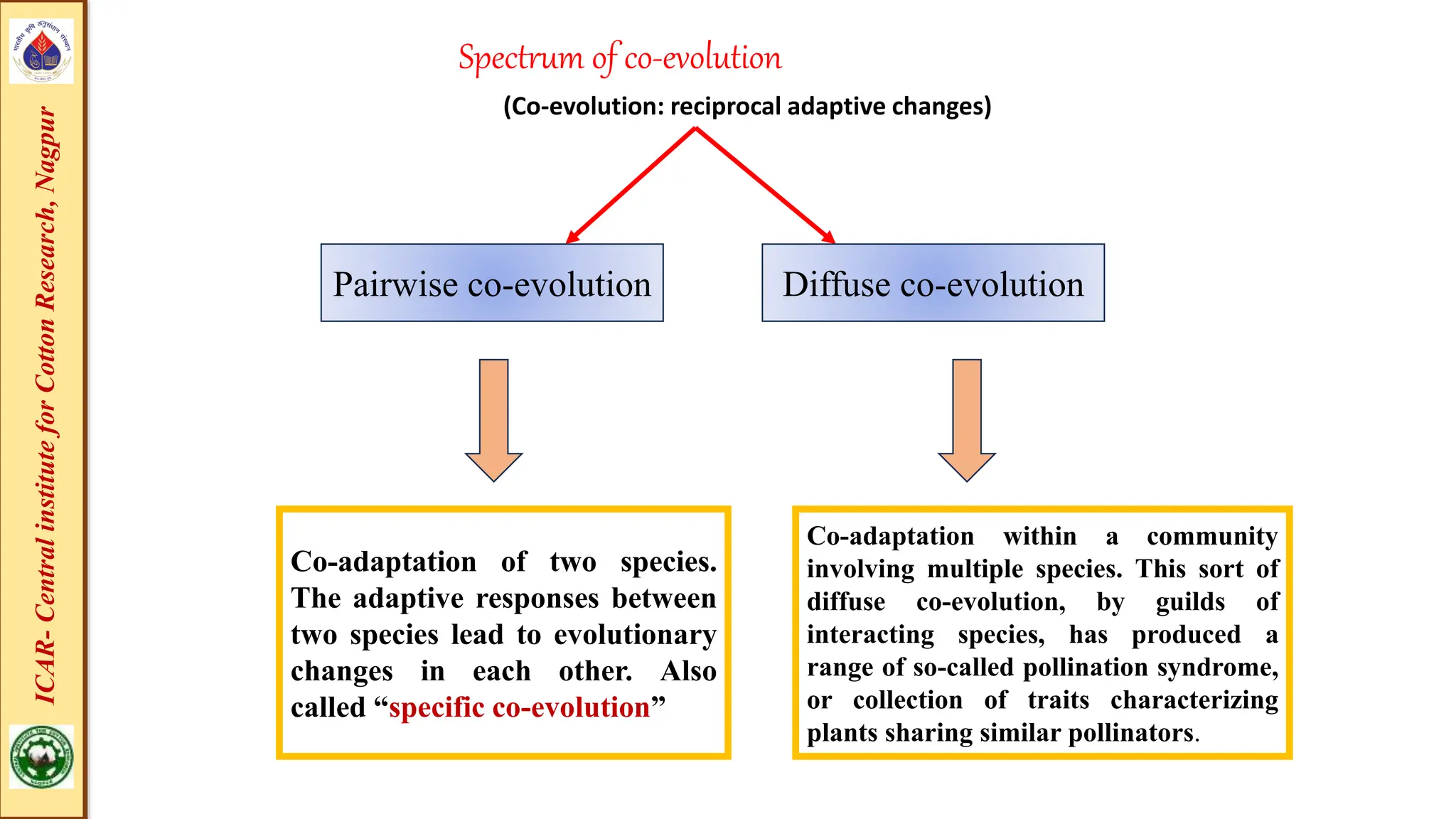different Modes of Insect Plant Interaction | PPTX