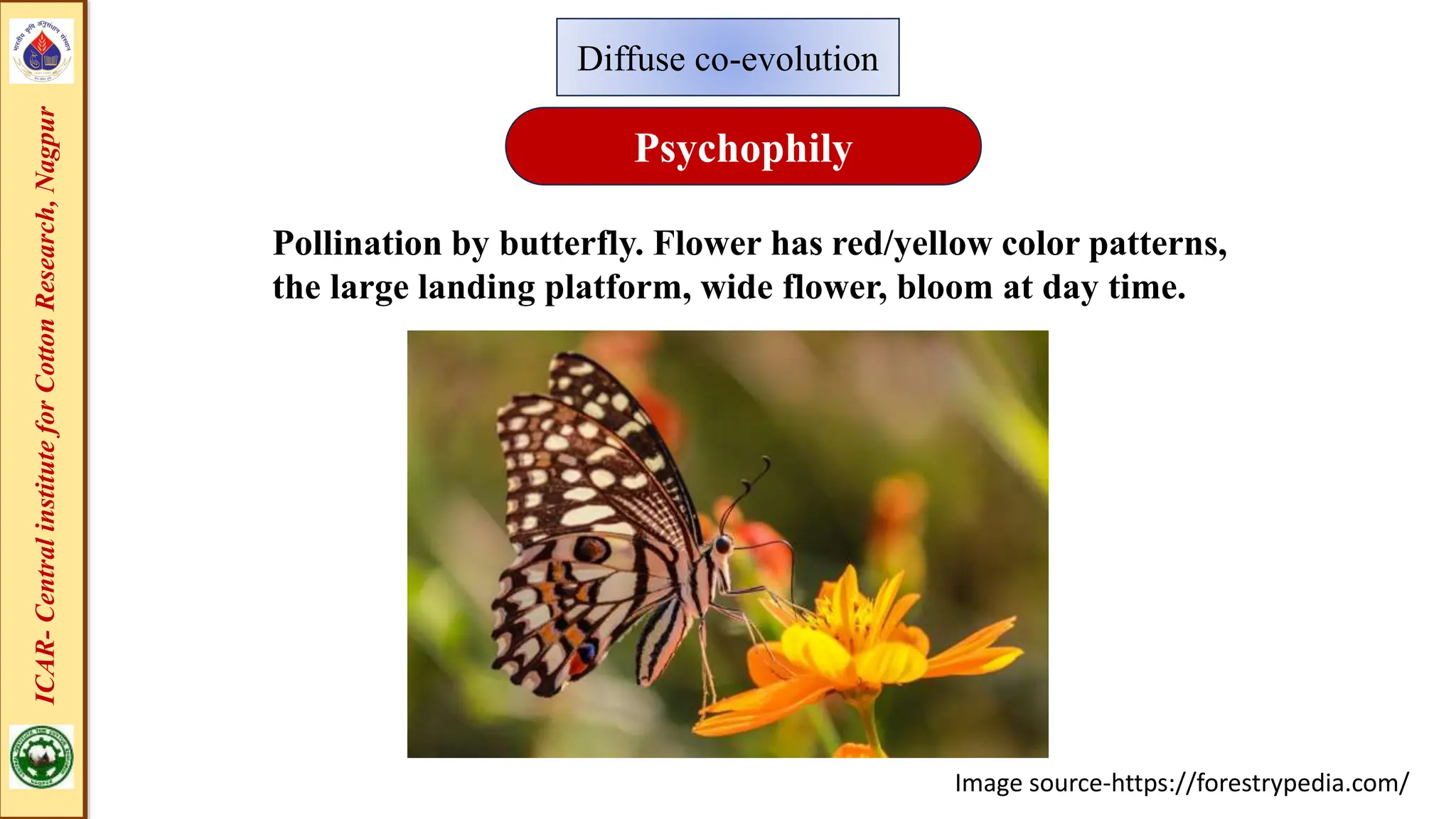 different Modes of Insect Plant Interaction | PPTX