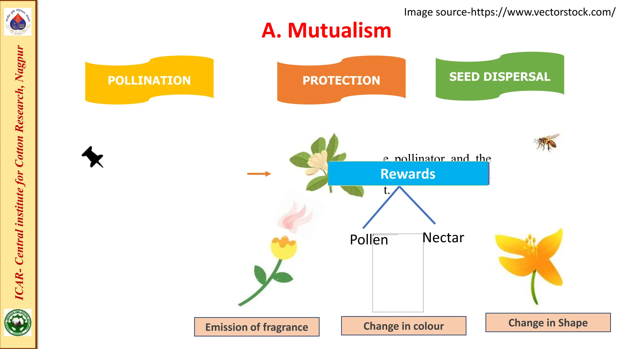 different Modes of Insect Plant Interaction | PPTX