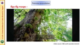 different Modes of Insect Plant Interaction | PPTX