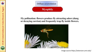 different Modes of Insect Plant Interaction | PPTX