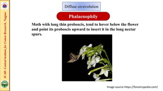 different Modes of Insect Plant Interaction | PPTX