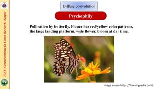 different Modes of Insect Plant Interaction | PPTX