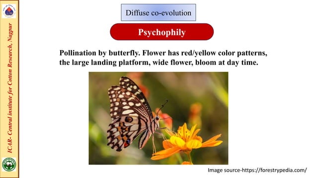 different Modes of Insect Plant Interaction | PPTX