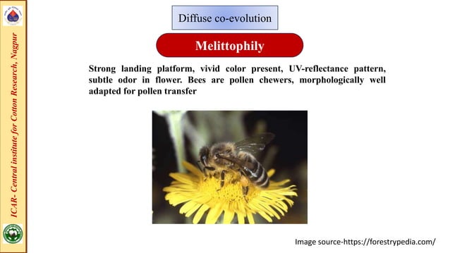 different Modes of Insect Plant Interaction | PPTX