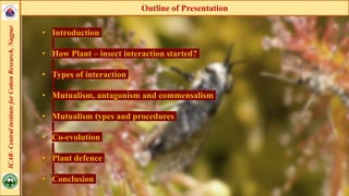 different Modes of Insect Plant Interaction | PPTX