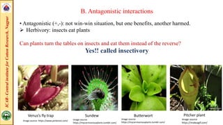 different Modes of Insect Plant Interaction | PPTX