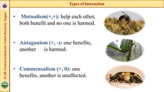 different Modes of Insect Plant Interaction | PPTX