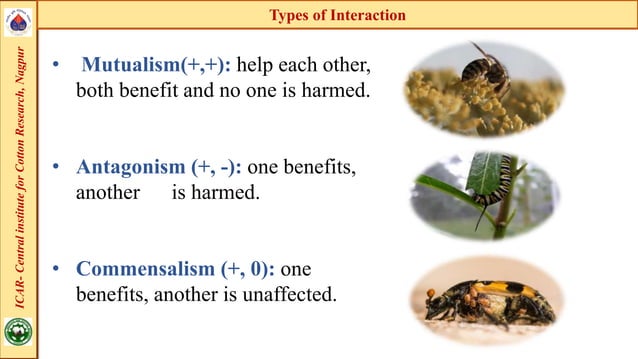 different Modes of Insect Plant Interaction | PPTX