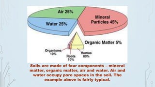 Eco 6 soil formation | PPTX