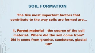 Eco 6 soil formation | PPTX