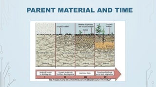 Eco 6 soil formation | PPTX