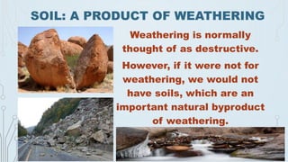 Eco 6 soil formation | PPTX